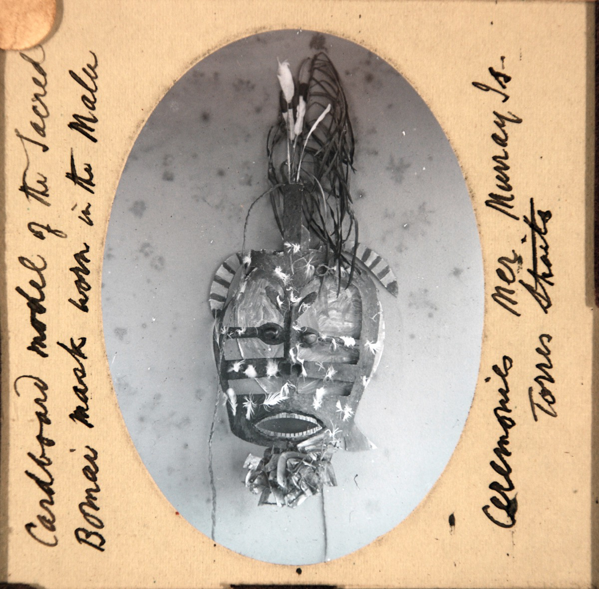 Alfred Cort Haddon (1855-1940)