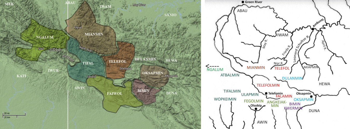 War Shields of Central New Guinea
