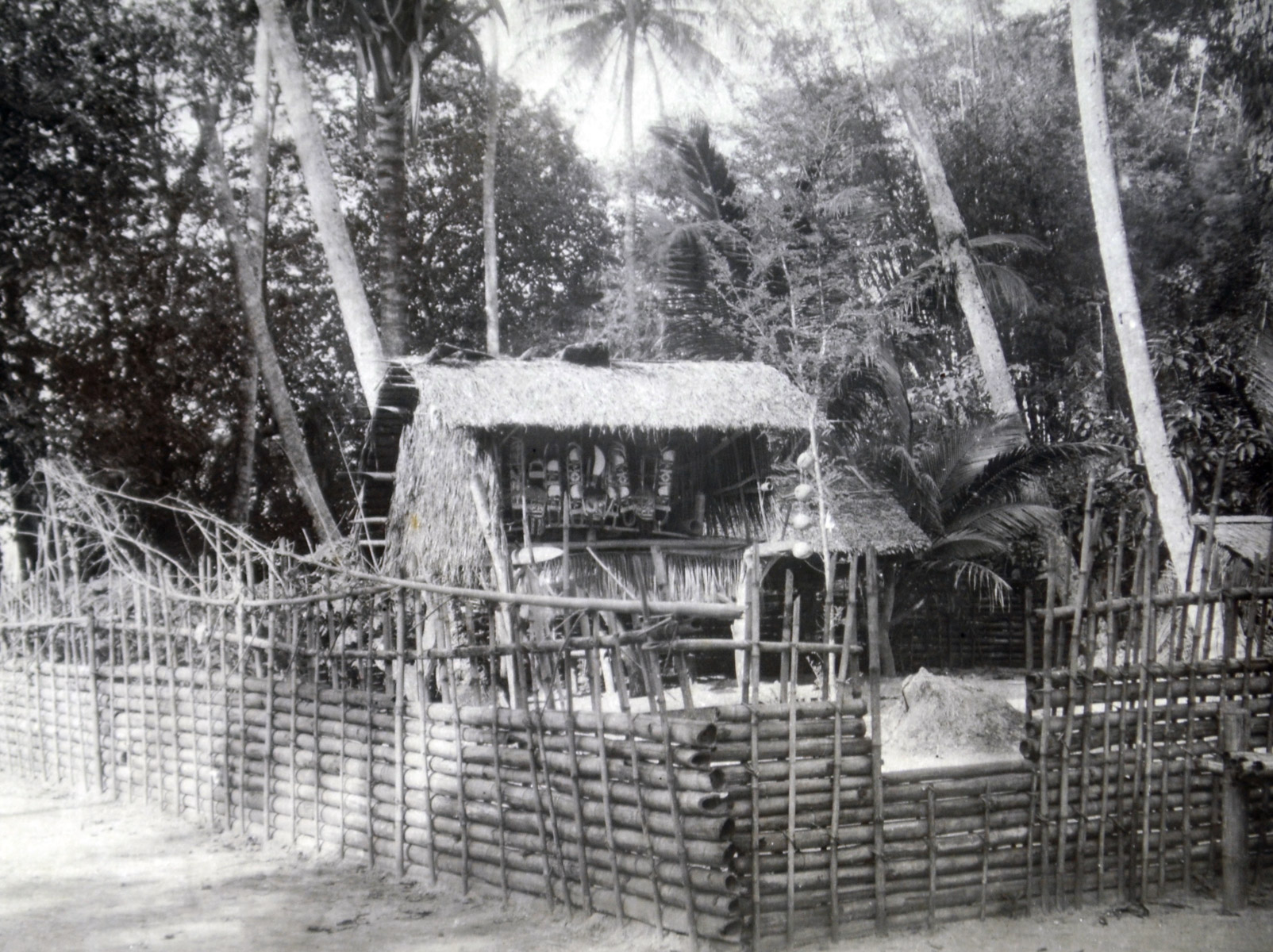 The New Ireland mask of Edward Titchener