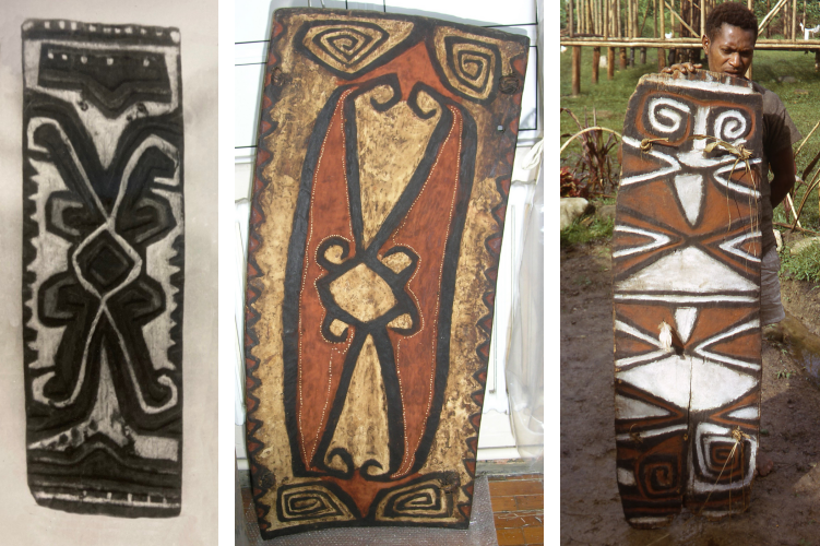 War Shields of Central New Guinea