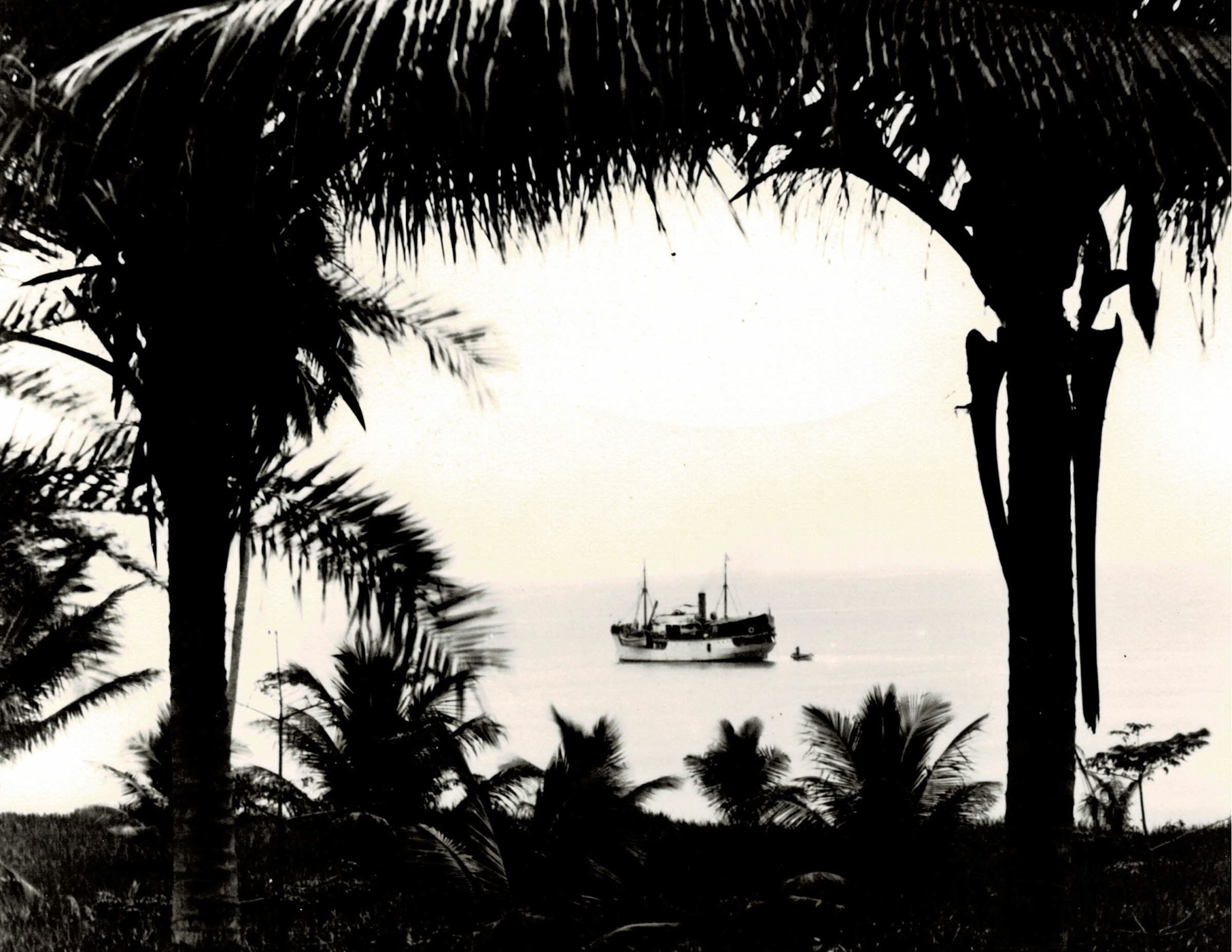 Huon Gulf Collections and Collectors: Changing Perspectives on ...