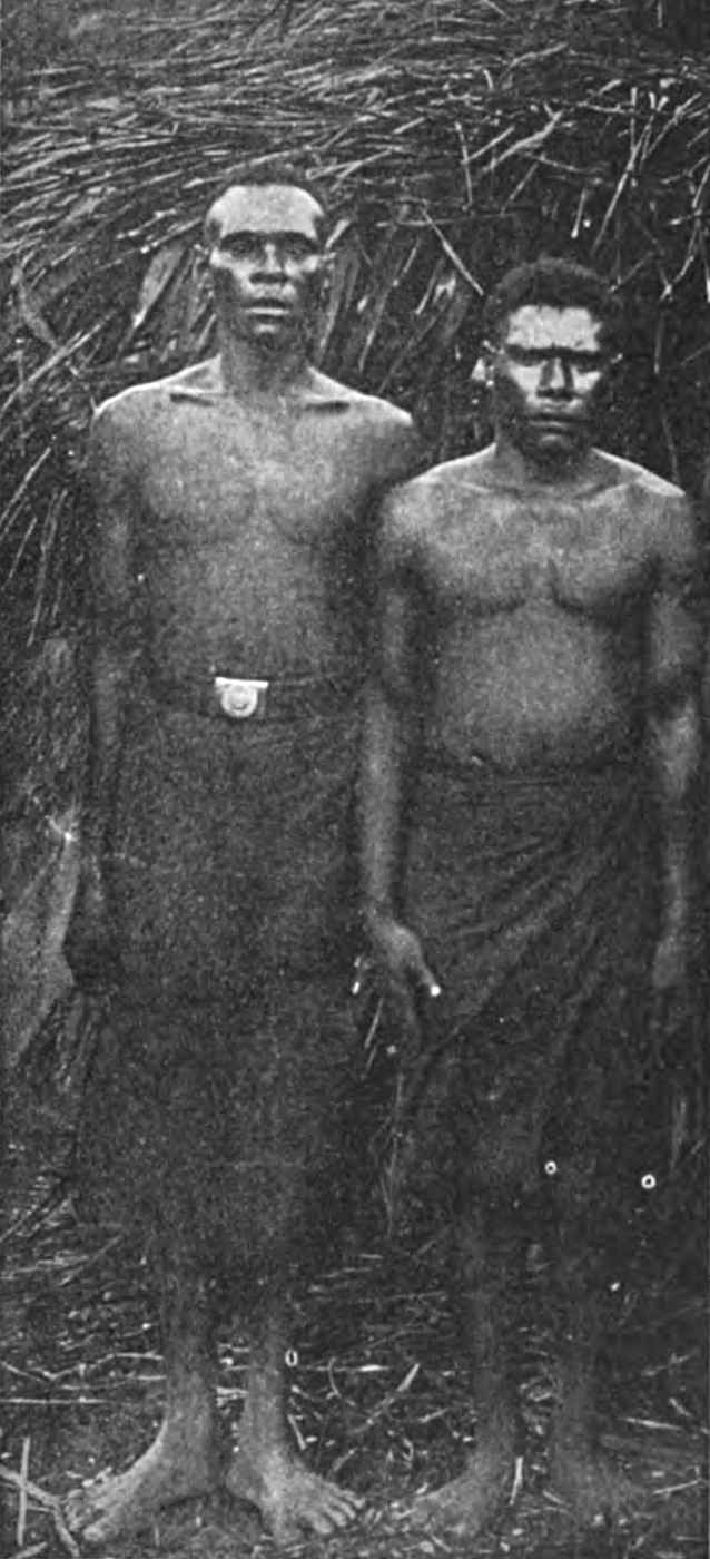 Emil Stephan: Naval Surgeon, Innovative Ethnographer, and Collector of ...